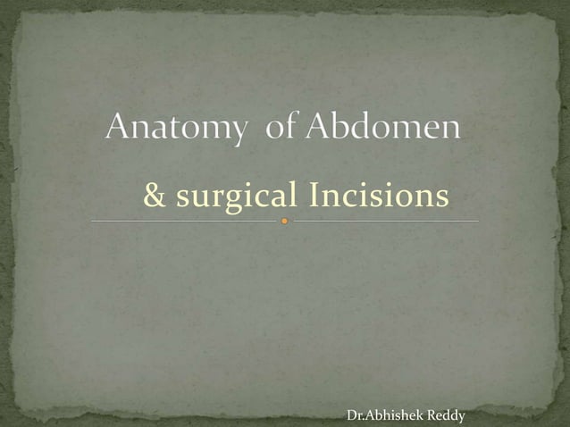 Abdomen layers & surgical incisions | PPTX | Death, Injury, or Military ...