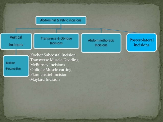 Abdomen layers & surgical incisions | PPTX | Death, Injury, or Military ...
