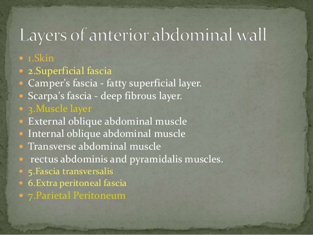 Abdomen Layers And Surgical Incisions