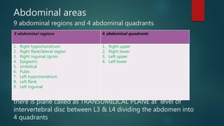Abdomen | PPT