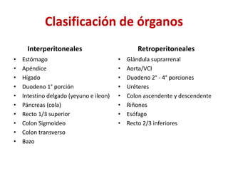 Abdomen | PPTX