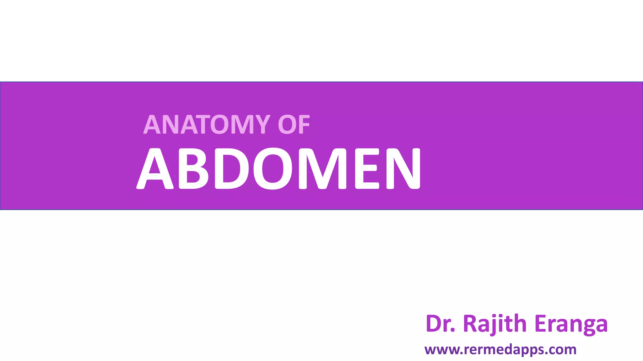 Abdomen Anatomy - Made Easy | PPTX