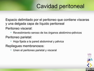 Abdomen | PDF