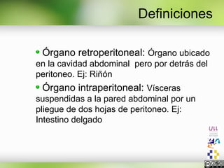 Abdomen | PDF