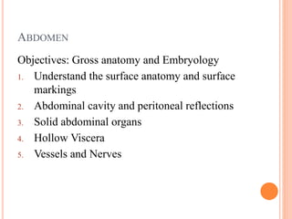 Abdomen.ppt
