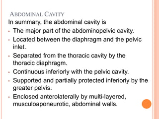 Abdomen.ppt
