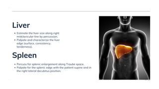 Physical Examination of the Abdomen | PDF