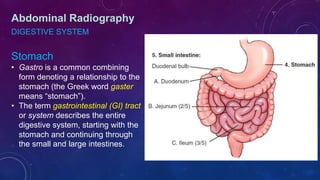 ABDOMEN.pptx | Digestive Disorders | Diseases and Conditions