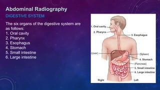 ABDOMEN.pptx | Digestive Disorders | Diseases and Conditions