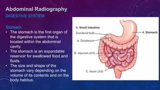 ABDOMEN.pptx | Digestive Disorders | Diseases and Conditions