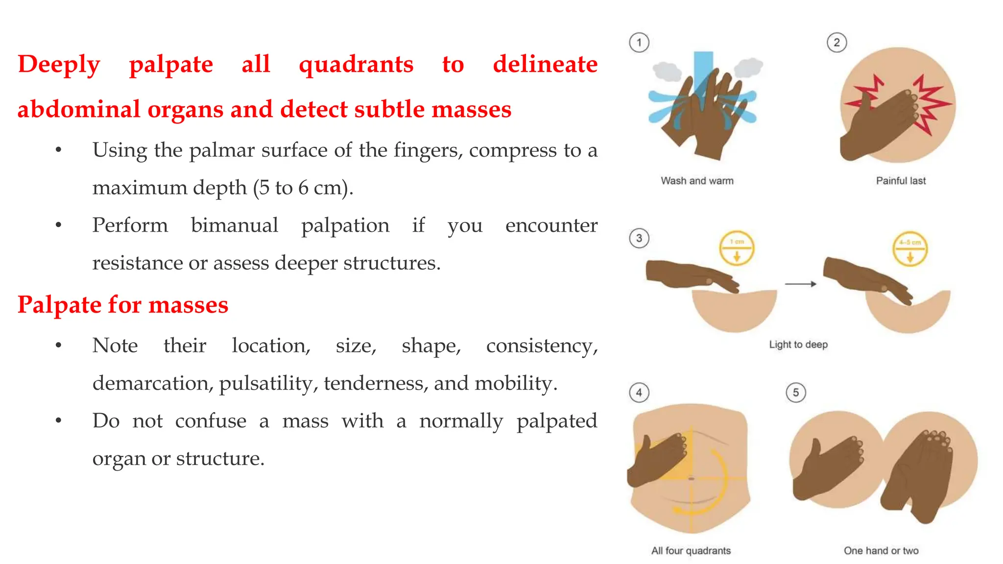 Clinical Examinations of the Abdomen with Images | PPTX