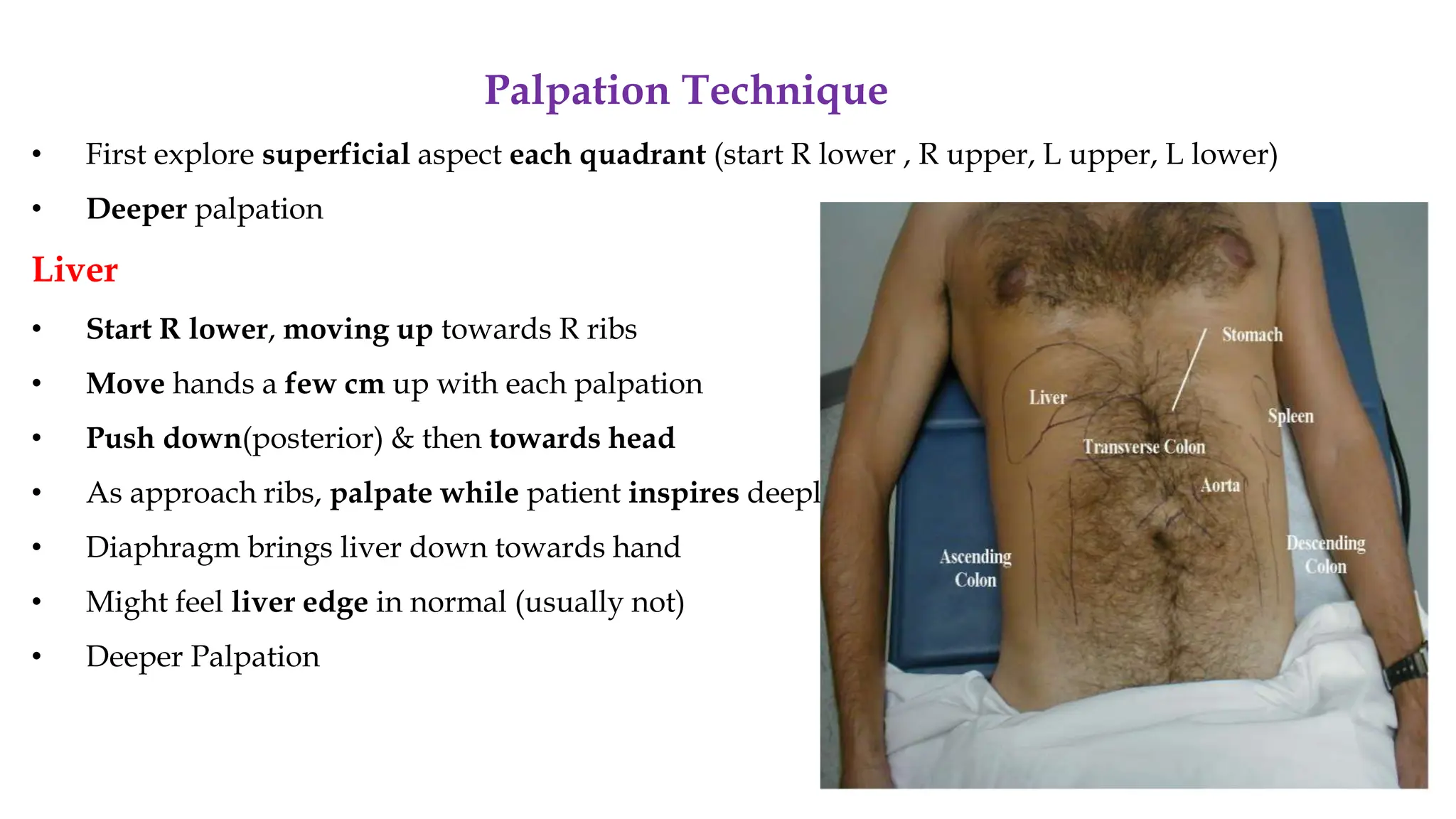 Clinical Examinations of the Abdomen with Images | PPTX