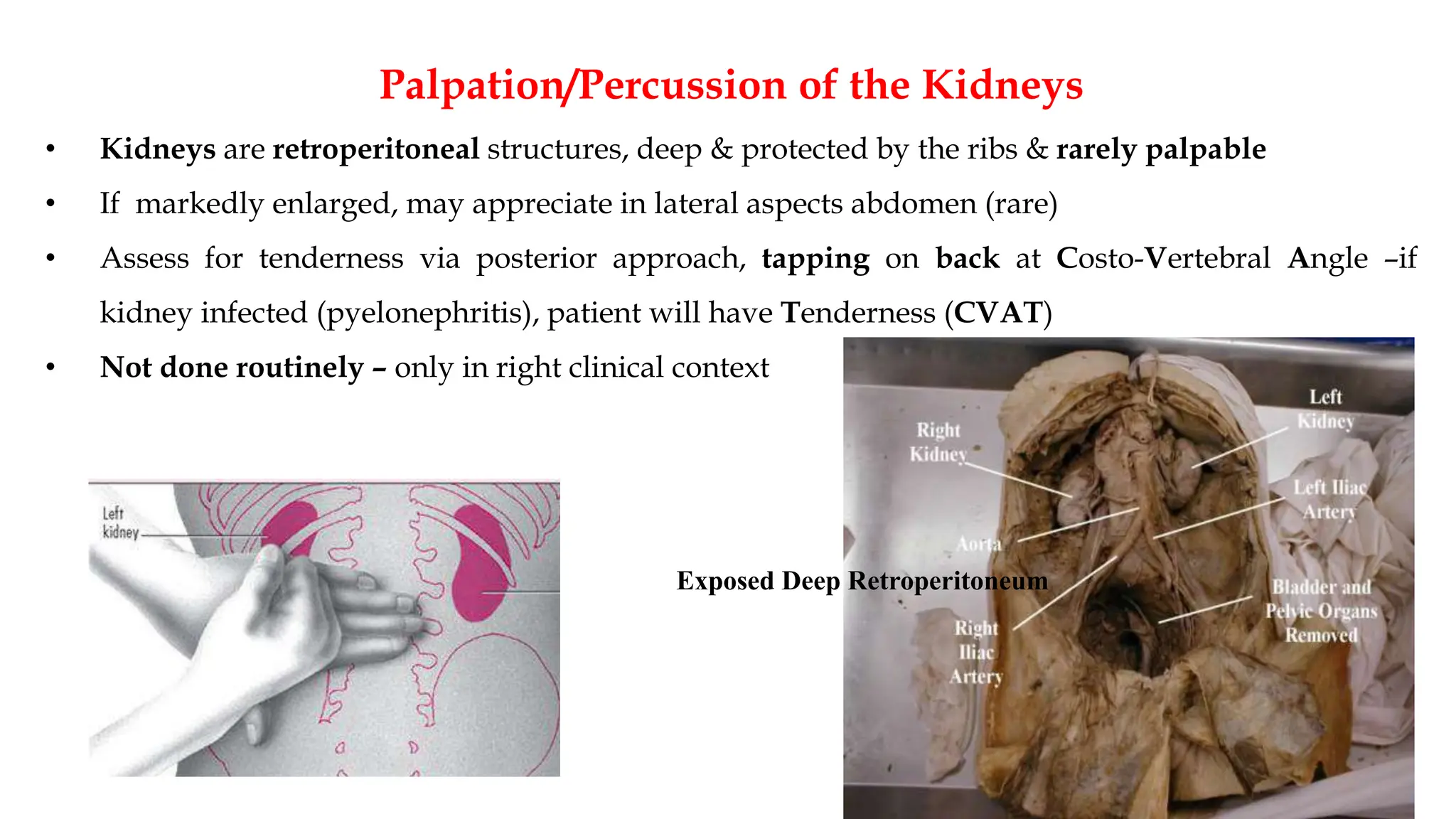 Clinical Examinations of the Abdomen with Images | PPTX