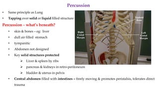 Clinical Examinations of the Abdomen with Images | PPTX