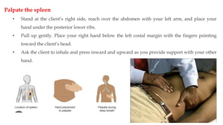 Clinical Examinations of the Abdomen with Images | PPTX