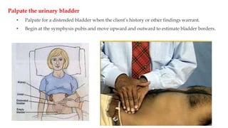 Clinical Examinations of the Abdomen with Images | PPTX