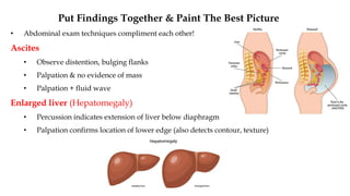 Clinical Examinations of the Abdomen with Images | PPTX