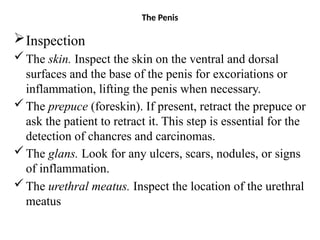 Abdomen.pptx physical examination and practice | PPTX