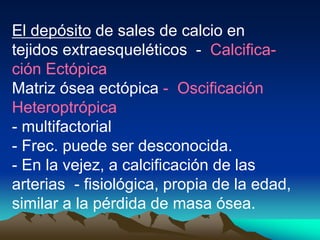 Abdomen - Calcificaciones | PPT