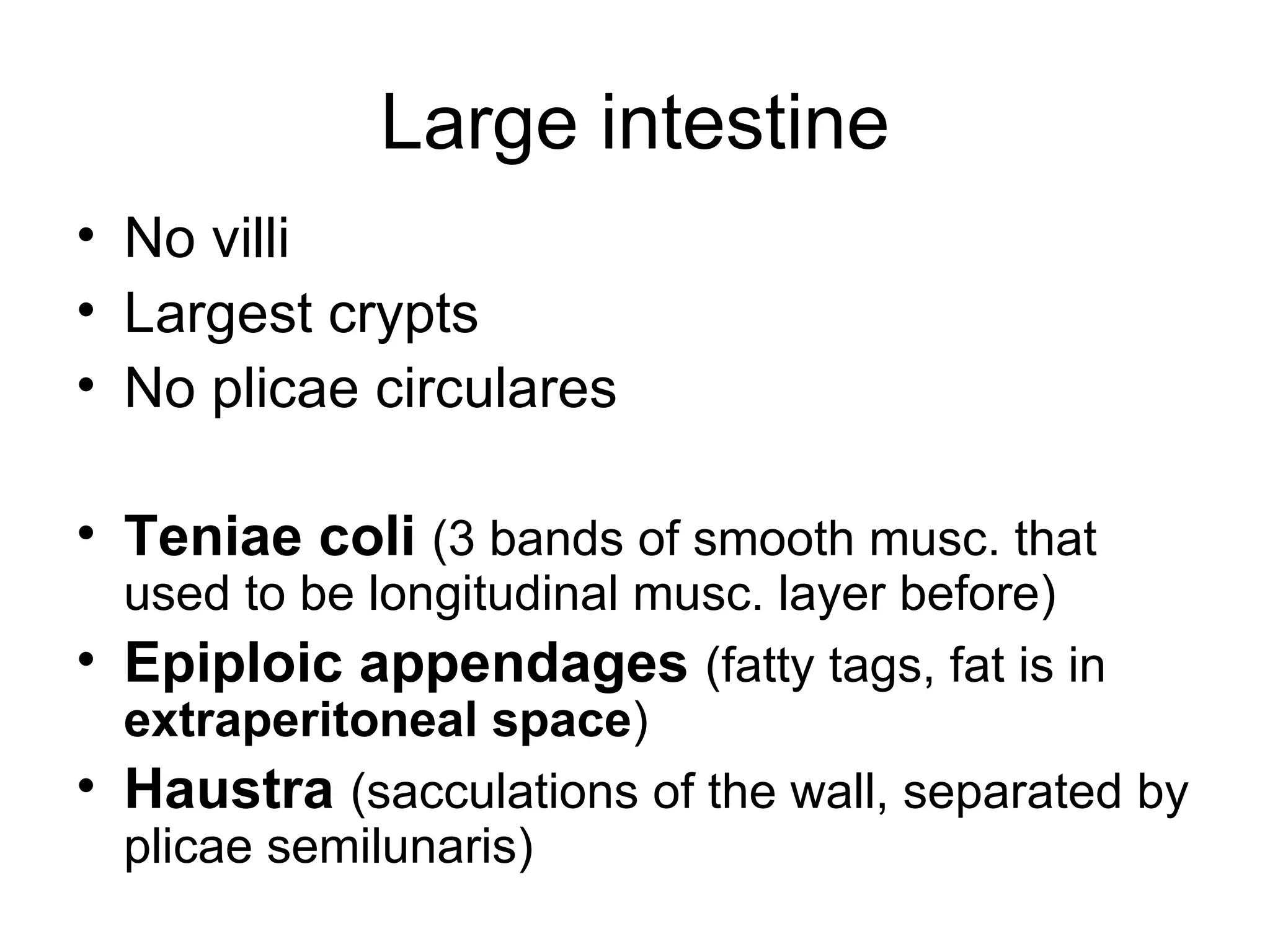 Abdomen, Pelvis and Perineum Anatomy - www.jinekolojivegebelik.com