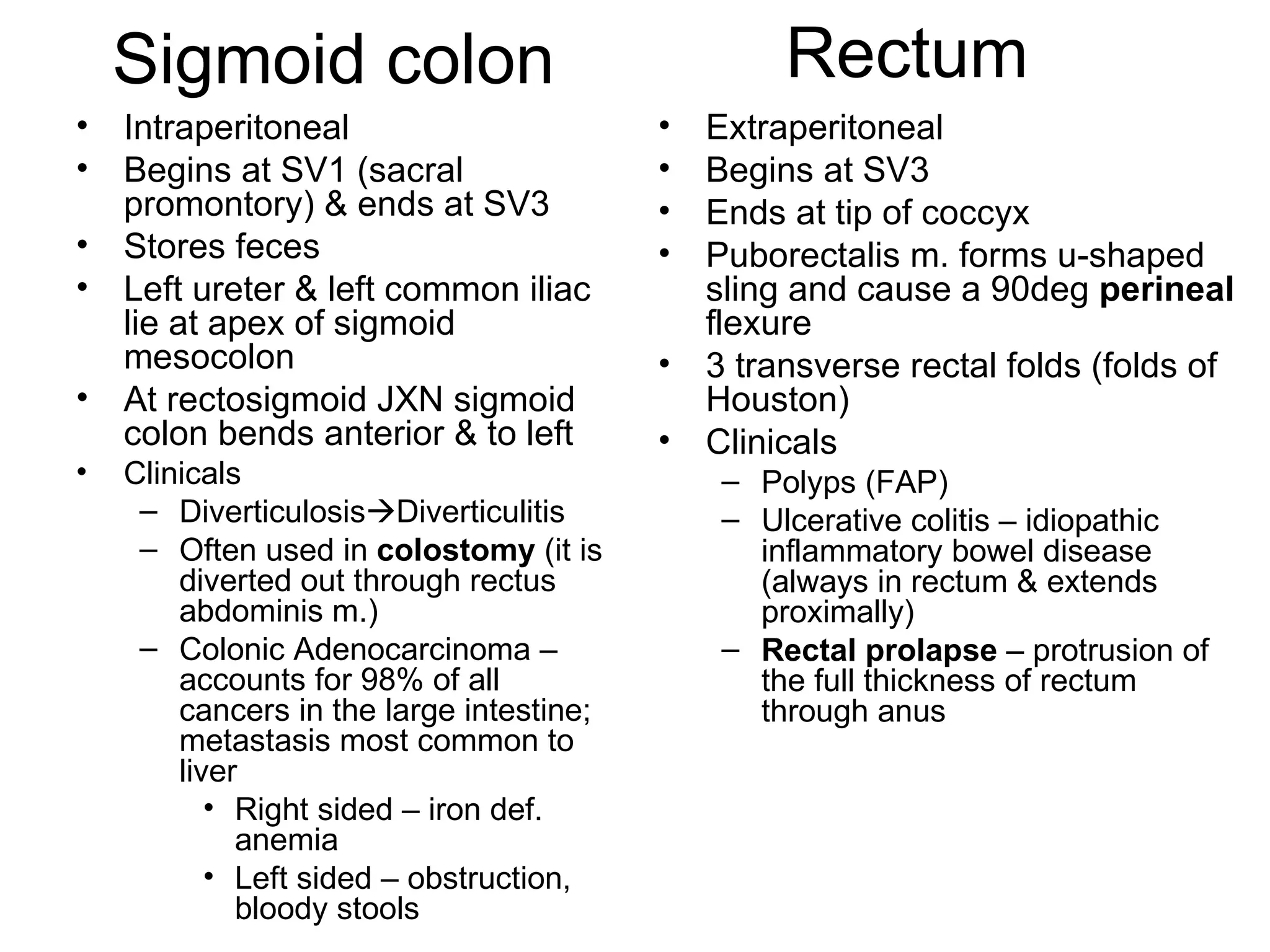Abdomen, Pelvis and Perineum Anatomy - www.jinekolojivegebelik.com