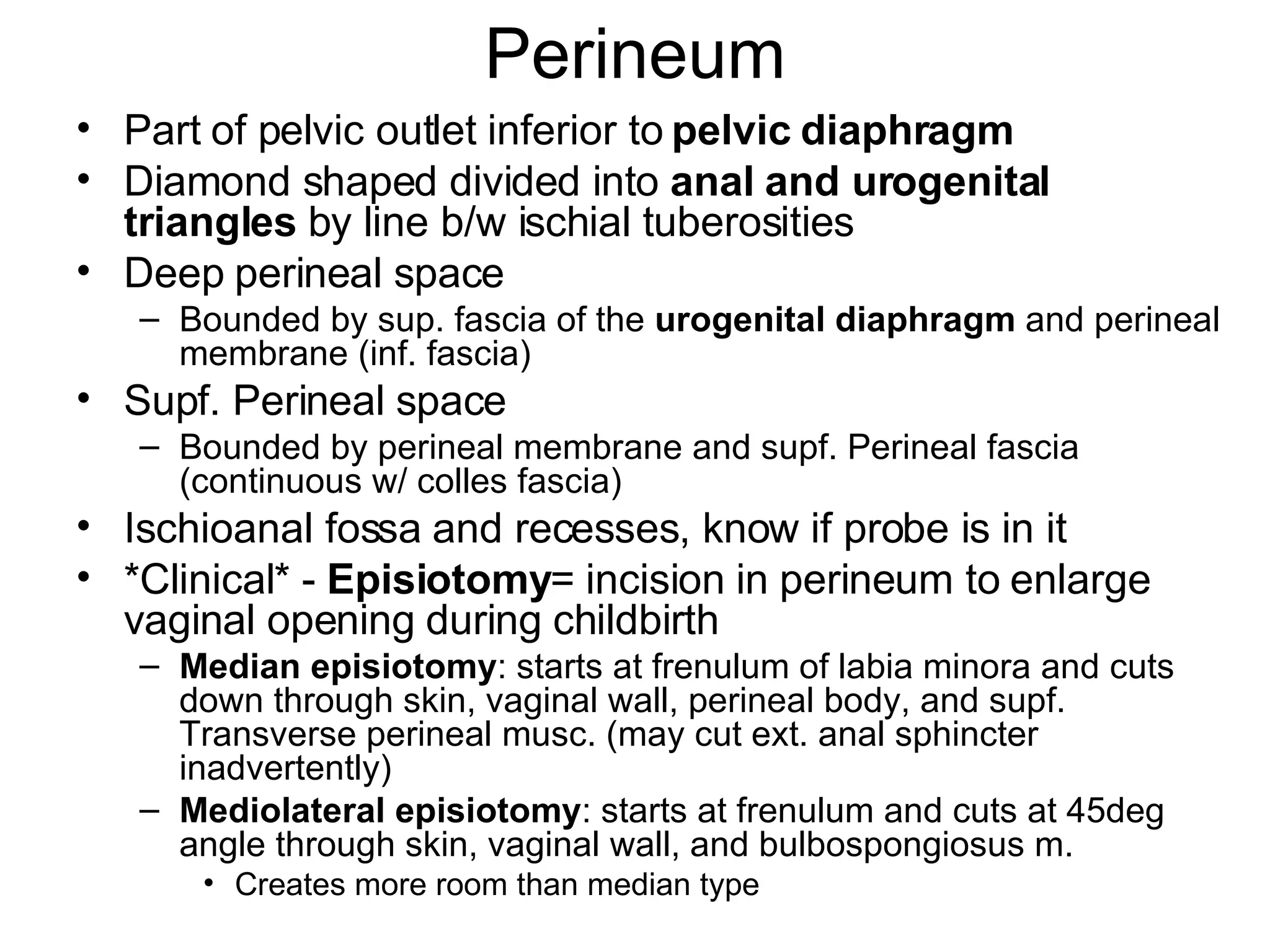 Abdomen, Pelvis and Perineum Anatomy - www.jinekolojivegebelik.com
