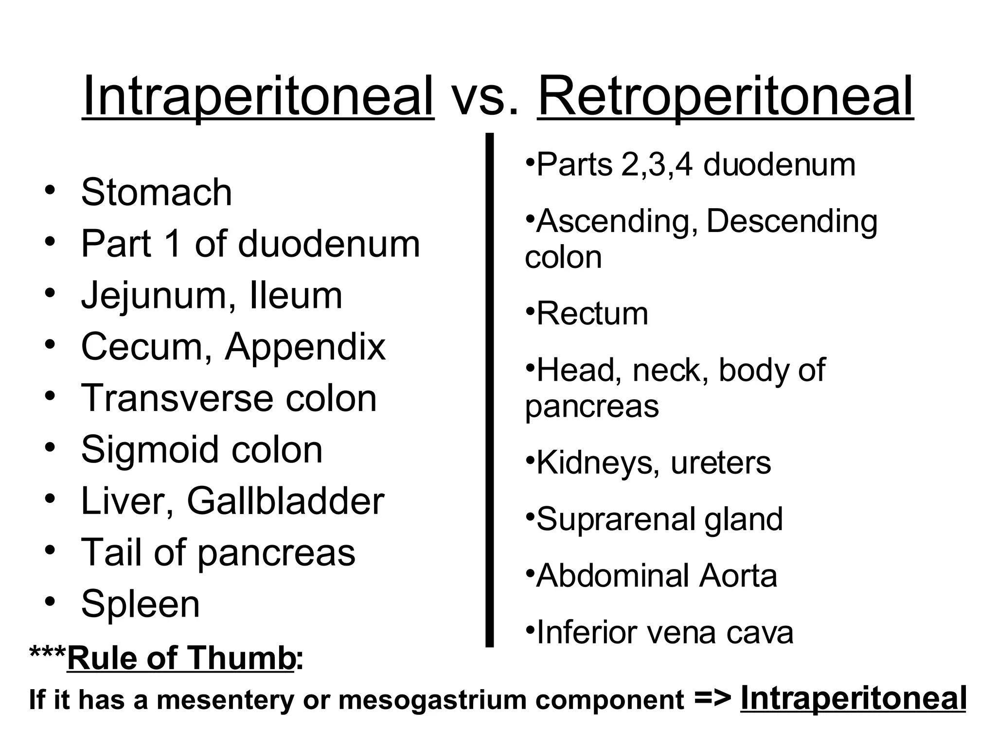 Abdomen, Pelvis and Perineum Anatomy - www.jinekolojivegebelik.com