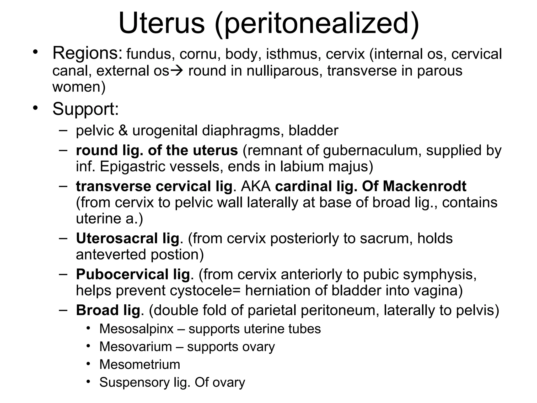 Abdomen, Pelvis and Perineum Anatomy - www.jinekolojivegebelik.com