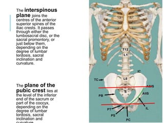 abdomen-surfacemarkingandradiology-210312105639 (1) (1).ppt