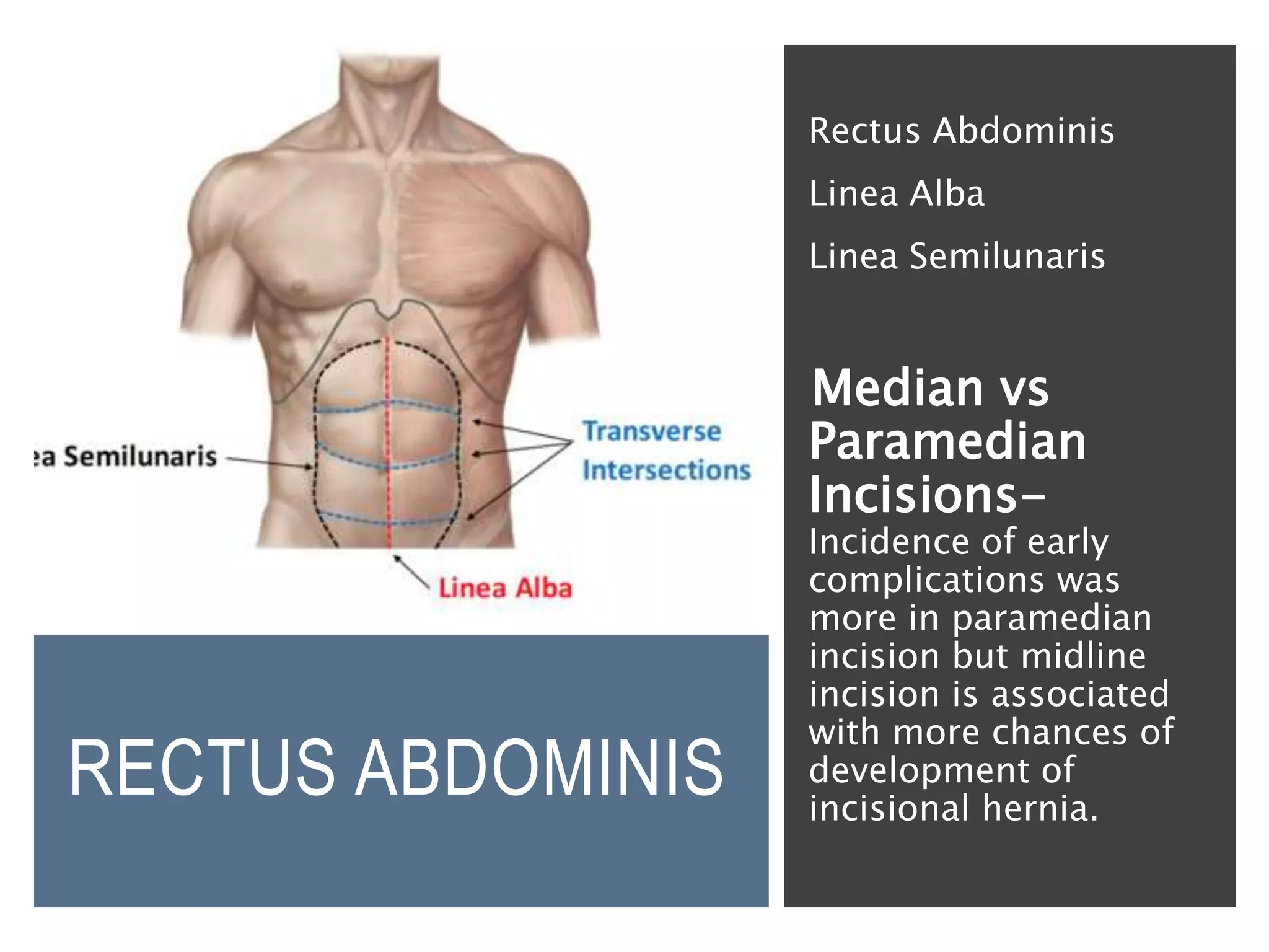 abdomen-surfacemarkingandradiology-210312105639 (2).pdf