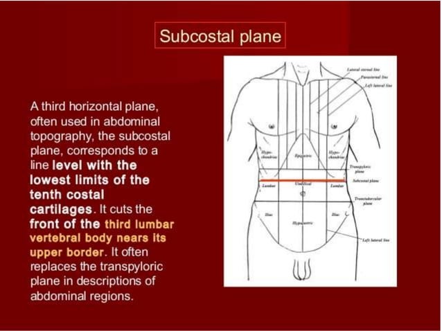 abdomen-surfacemarkingandradiology-210312105639 (2).pdf