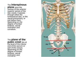 abdomen-surfacemarkingandradiology-210312105639 (2).pdf