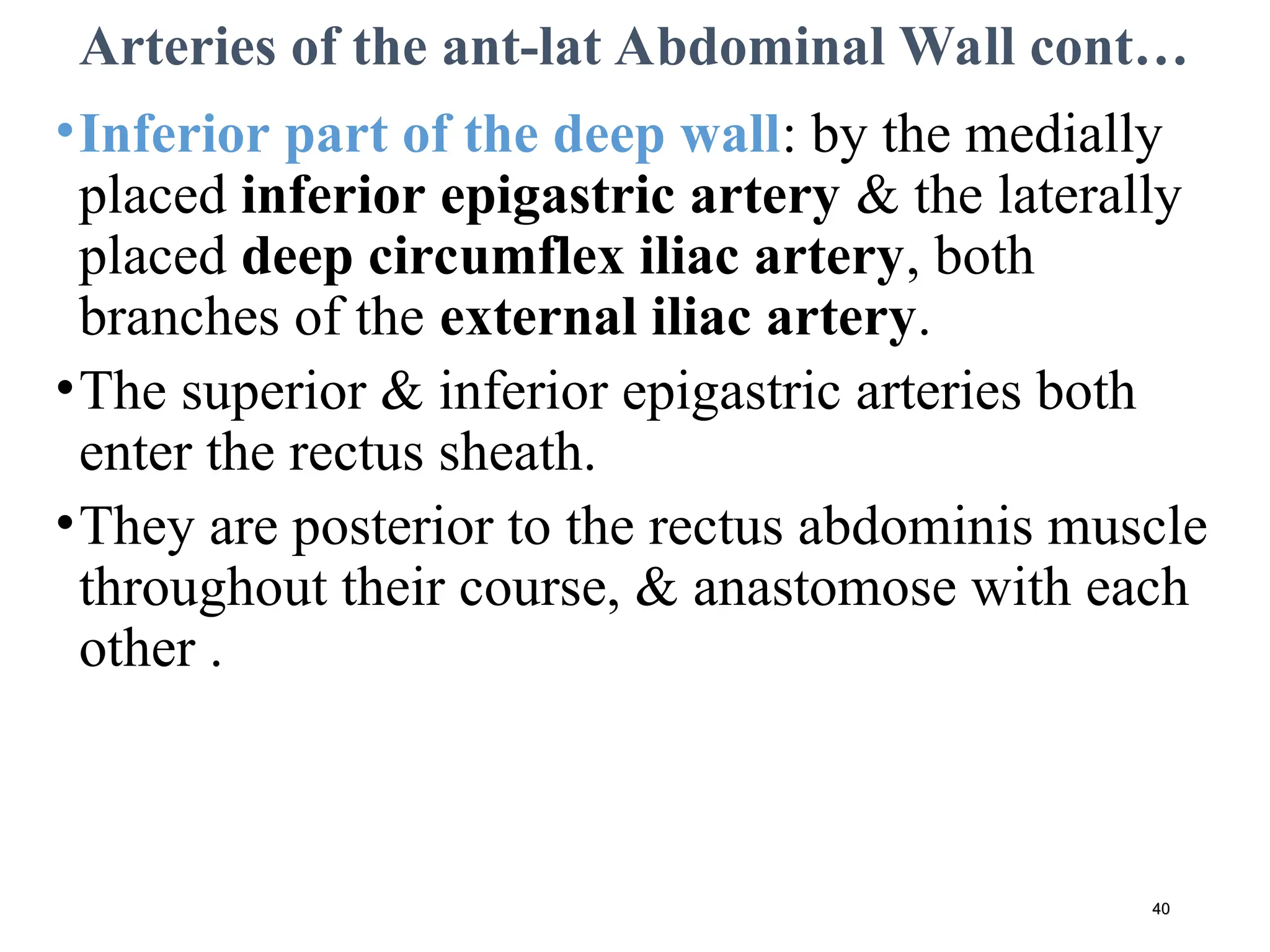 Abdomen 1st for MD.ppt Abdomen anatomy medicine | PPT
