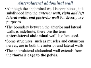 Abdomen 1st for MD.ppt Abdomen anatomy medicine | PPT