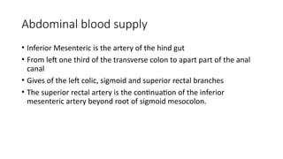 ANATOMY OF THE Abdomen 2 presentation.pptx