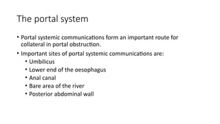 ANATOMY OF THE Abdomen 2 presentation.pptx