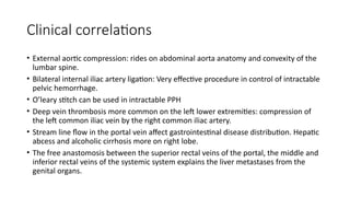 ANATOMY OF THE Abdomen 2 presentation.pptx