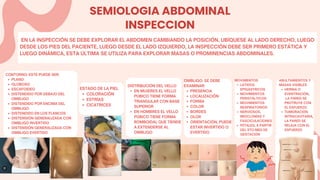 ABDOMEN AGUDO.pdf clasificación de abdomen | PDF