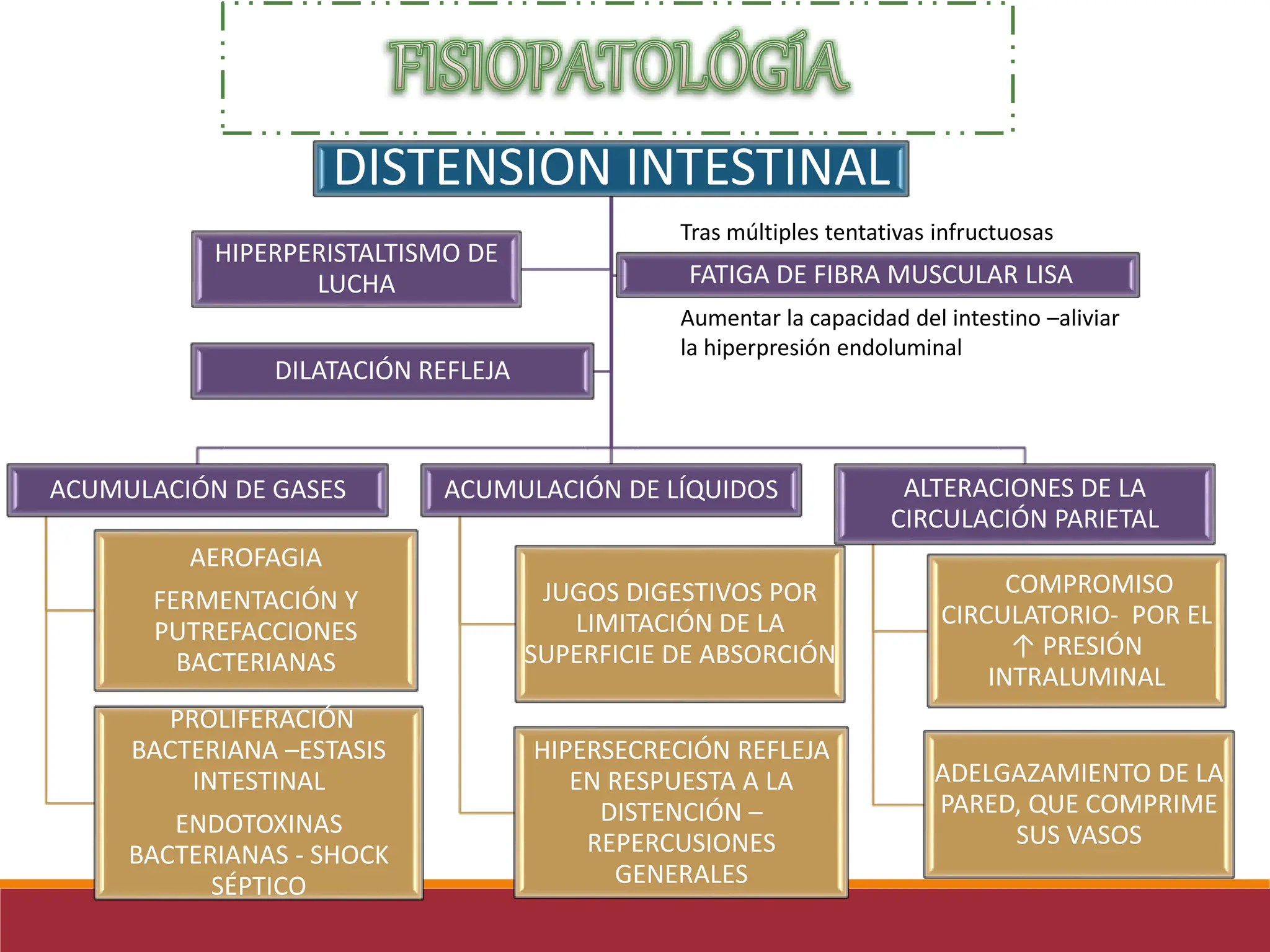 fisiopatologia de abdomen agudo obstructivo.pptx