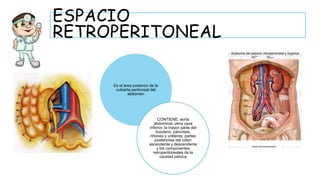 Abdomen agudo traumatico | PPTX