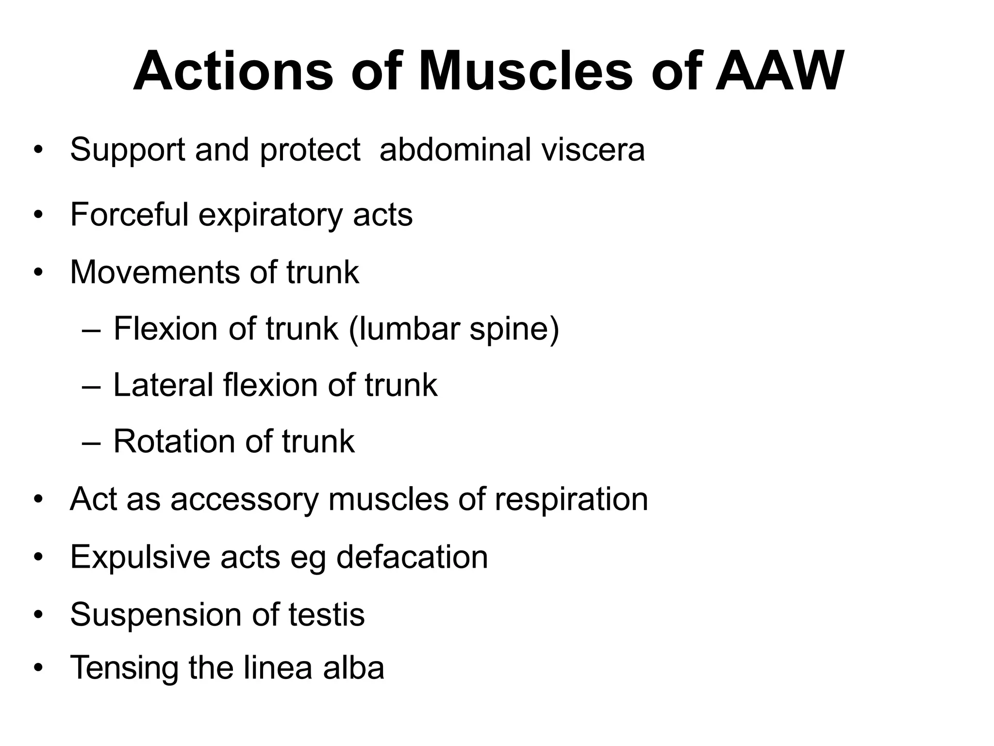 Abdomen and Lower Limb Muscles.pptx