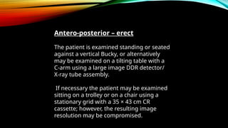Abdomen and pelvis radiography in practise .ptx | Digestive Disorders ...
