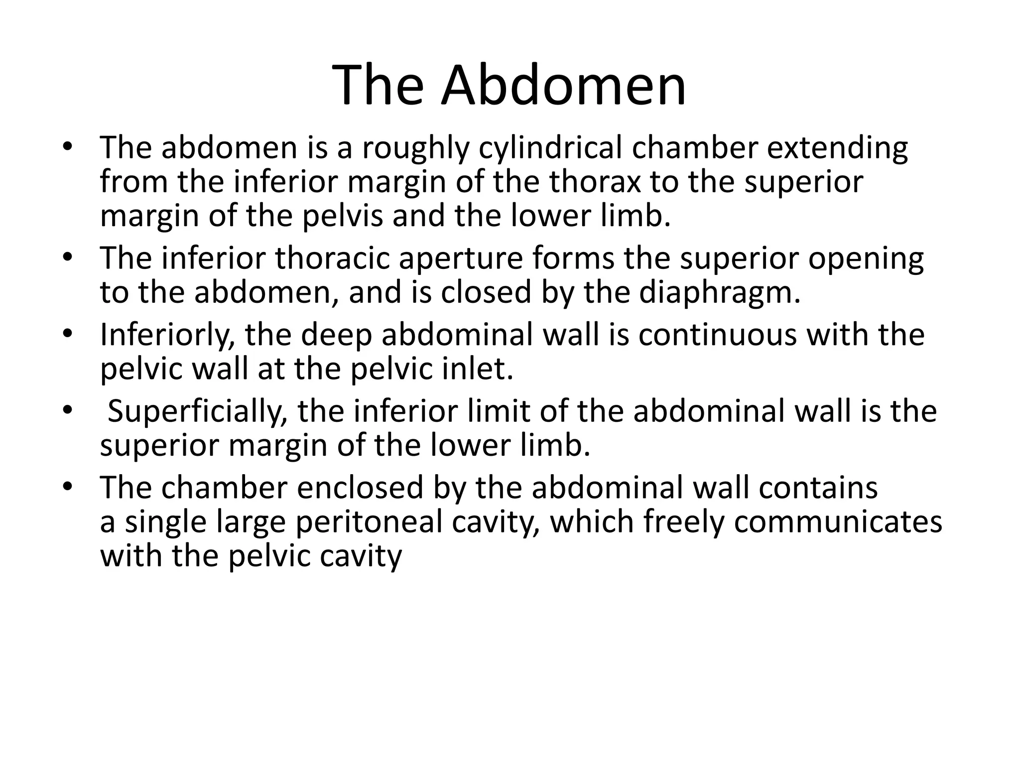 Abdomen and Perinium.powerpoint -marrah001 | PPT