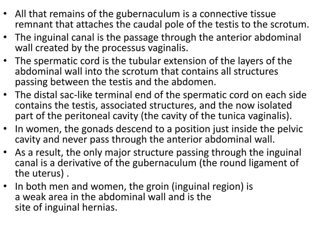Abdomen and Perinium.powerpoint -marrah001 | PPT