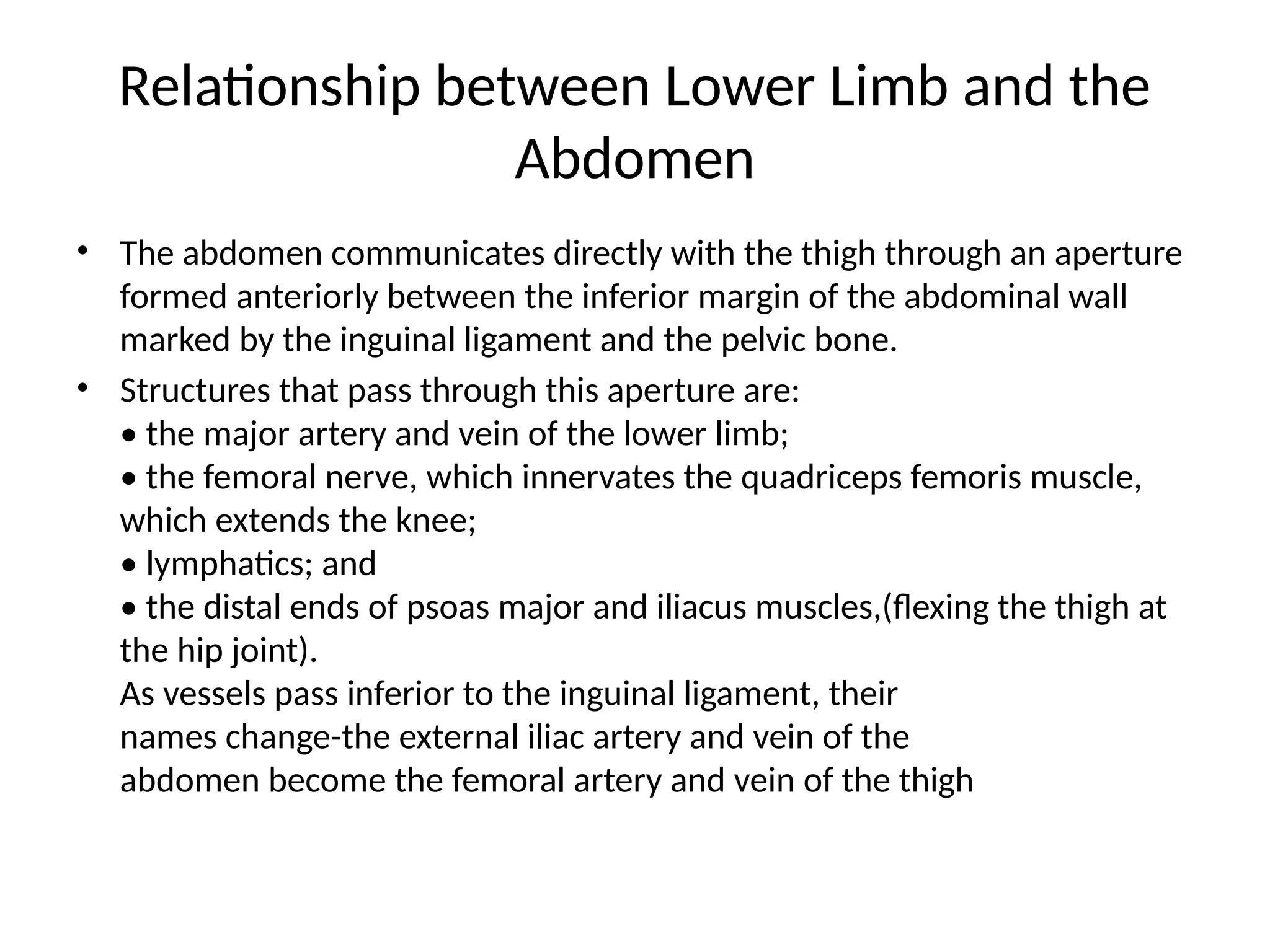 Anatomy of the Abdomen and Perinium.pptx