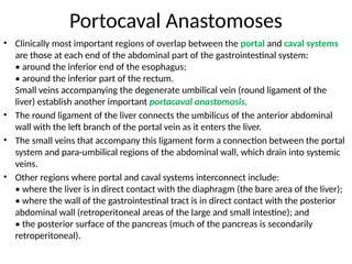 Anatomy of the Abdomen and Perinium.pptx