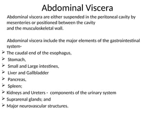Anatomy of the Abdomen and Perinium.pptx