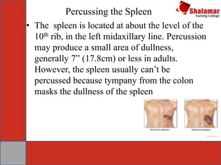 Assessment of Abdomen, anus & rectum | PPTX