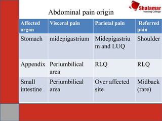 Assessment of Abdomen, anus & rectum | PPTX