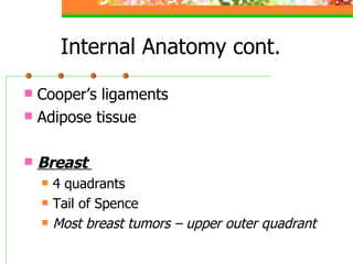 NurseReview.Org - Abdomen Breasts Nursing Resource | PPT